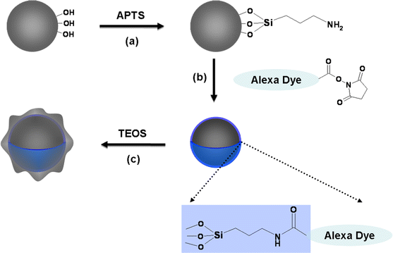 Synthesis and characterisation of highly fluorescent core–shell ...