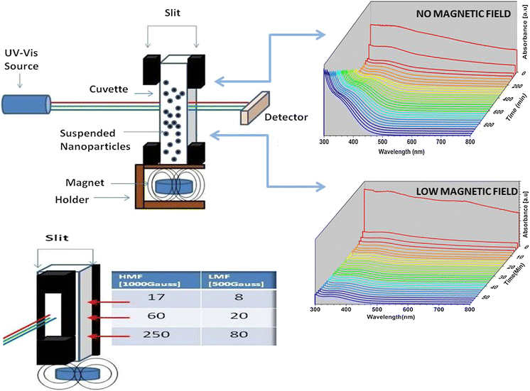 Investigations of suspension stability of iron oxide nanoparticles ...