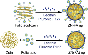 Zein nanoparticles as delivery systems for covalently linked and ...