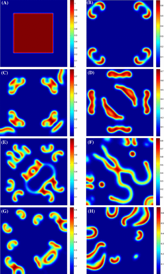 Mathematical Modeling Of Population Dynamics With Allee Effect