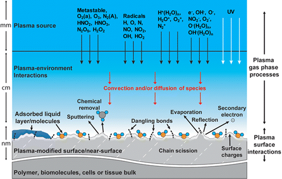 On the Interaction of Cold Atmospheric Pressure Plasma with Surfaces of ...