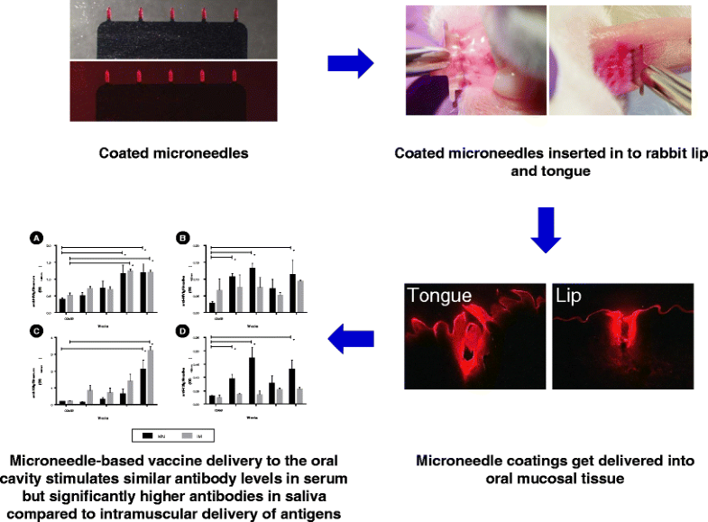Vaccine Delivery to the Oral Cavity Using Coated Microneedles Induces ...
