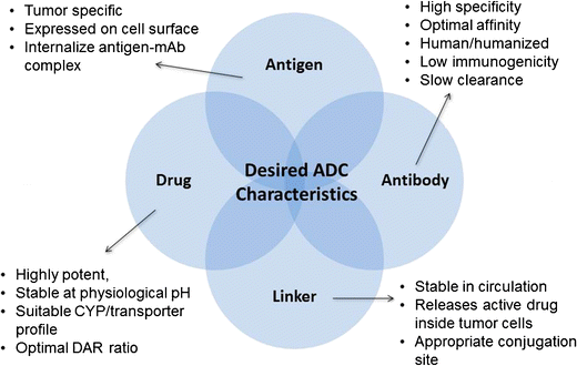 Preclinical Pharmacokinetic Considerations for the Development of ...