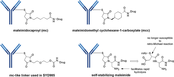 Current ADC Linker Chemistry | SpringerLink