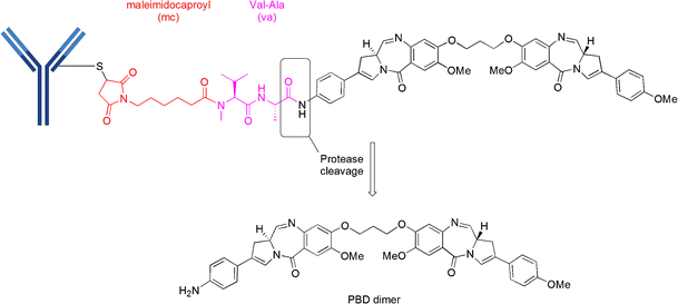 Current ADC Linker Chemistry | SpringerLink