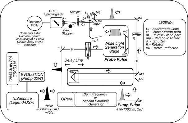 Ultrafast transient absorption spectroscopy: principles and application ...