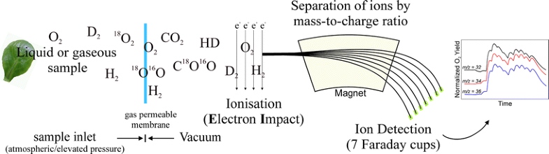 On-line mass spectrometry: membrane inlet sampling | SpringerLink