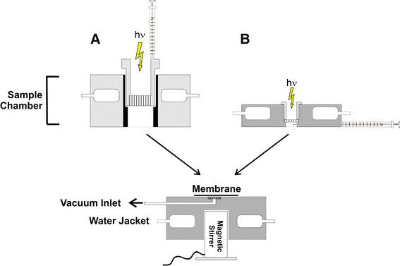 On-line mass spectrometry: membrane inlet sampling | SpringerLink