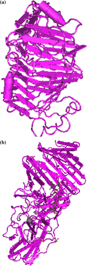 Microbial pectinase: sources, characterization and applications ...