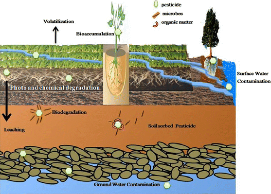 Toxicity and bioremediation of pesticides in agricultural soil ...