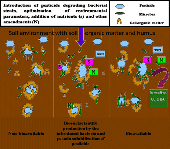 Toxicity and bioremediation of pesticides in agricultural soil | SpringerLink