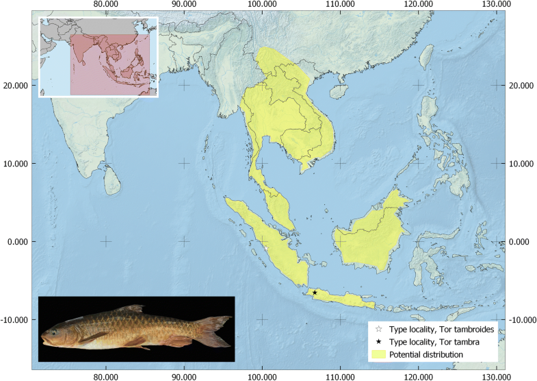 Mahseer ( Tor spp.) fishes of the world: status, challenges and ...