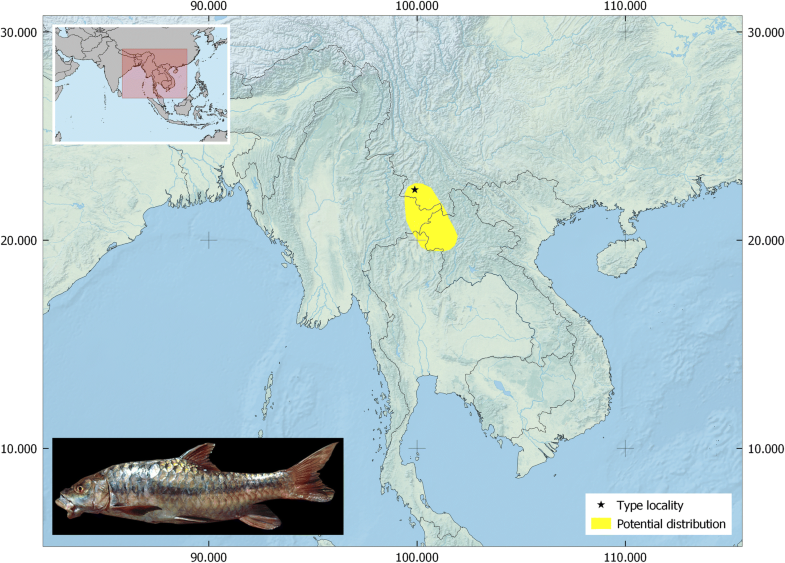 Mahseer ( Tor spp.) fishes of the world: status, challenges and ...