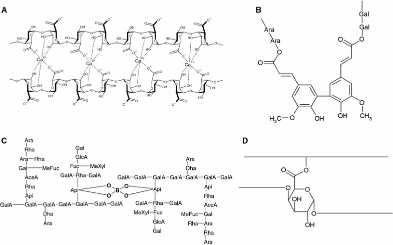 Pectin, a versatile polysaccharide present in plant cell walls ...