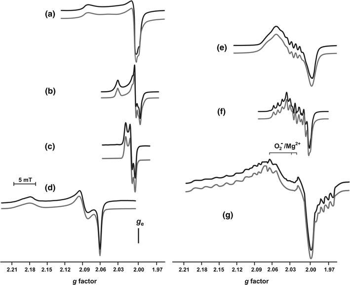Dia gnostic Features of EPR Spectra of Superoxide Intermediates on ...
