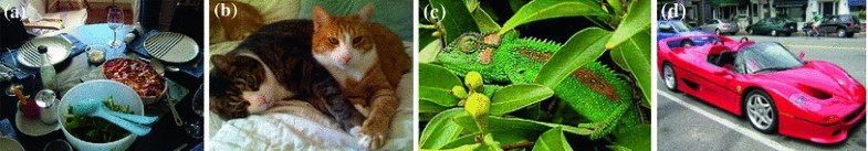 Selective Search for Object Recognition | SpringerLink