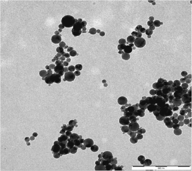 Titanium Dioxide Nanoparticle Circulation in an Aquatic Ecosystem ...