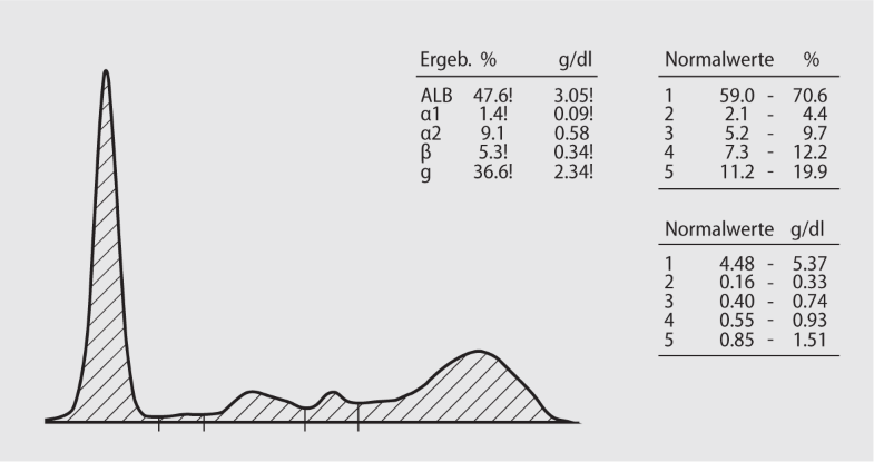 Erhöhte Leberwerte abklären | SpringerLink