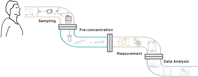 Exhaled breath analysis: a review of ‘breath-taking’ methods for off ...