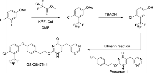 Investigation of the Brain Biodistribution of the Lipoprotein ...