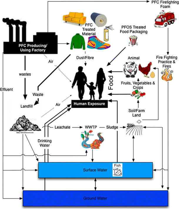 PFOS and PFC releases and associated pollution from a PFC production ...