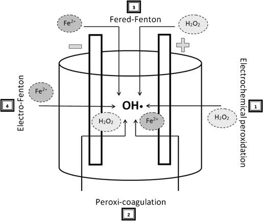 Electrochemical advanced oxidation and biological processes for ...