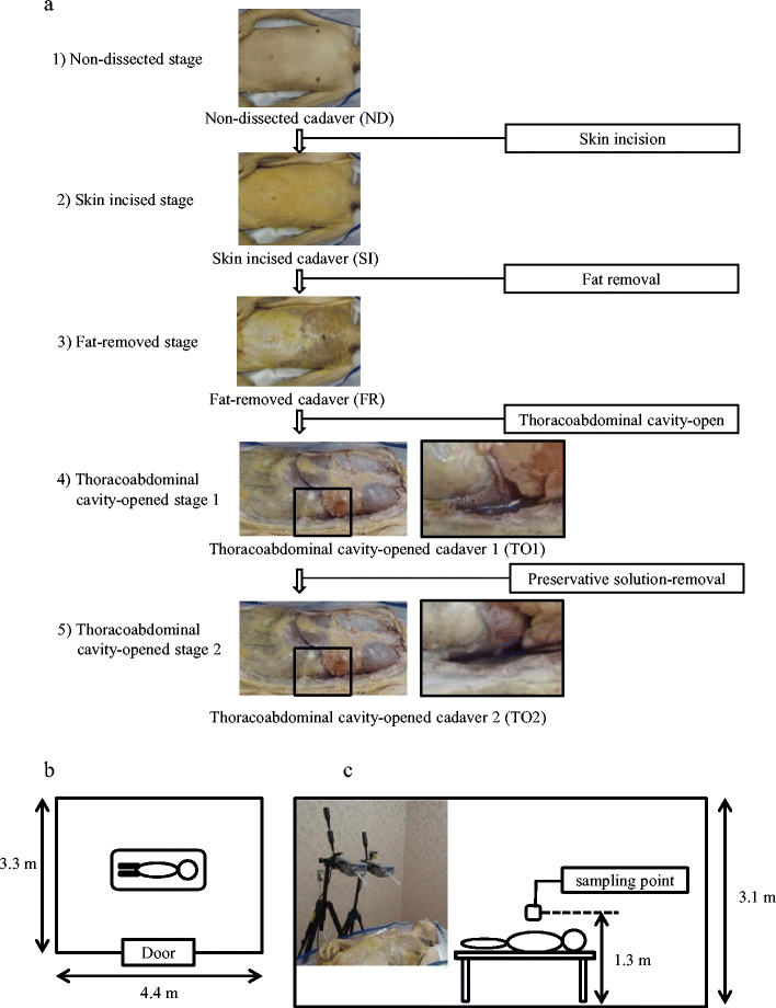 Levels of formaldehyde vapor released from embalmed cadavers in each ...