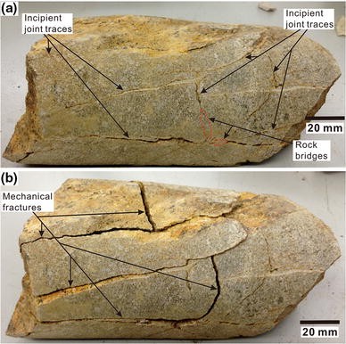 Tensile strength of large-scale incipient rock joints: a laboratory ...