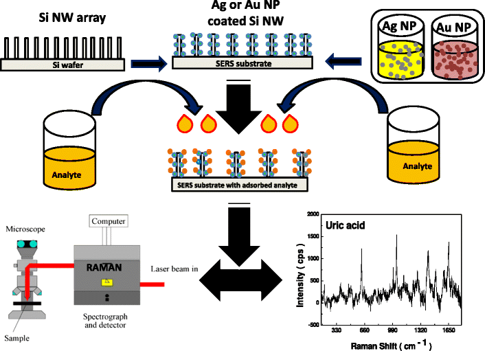 Vertically Aligned Silicon Nanowire Array Decorated by Ag or Au Nanoparticles as SERS Substrate ...