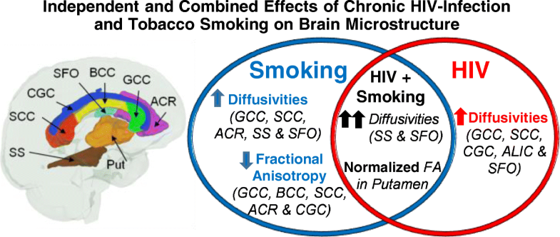 Independent and Combined Effects of Chronic HIV-Infection and Tobacco ...