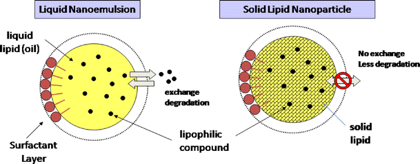 Solid Lipid Nanoparticles as Delivery Systems for Bioactive Food ...