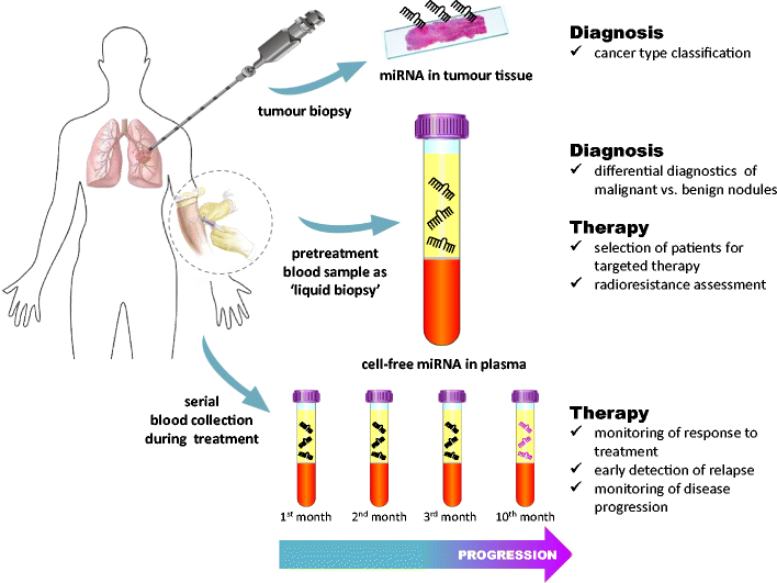 miRNAs as Biomarkers and Therapeutic Targets in Non-Small Cell Lung ...