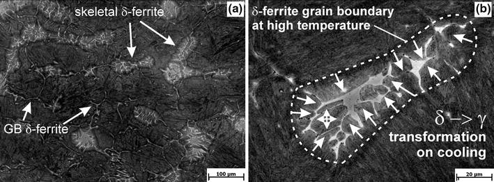 Formation of Delta Ferrite in 9 Wt Pct Cr Steel Investigated by In-Situ ...