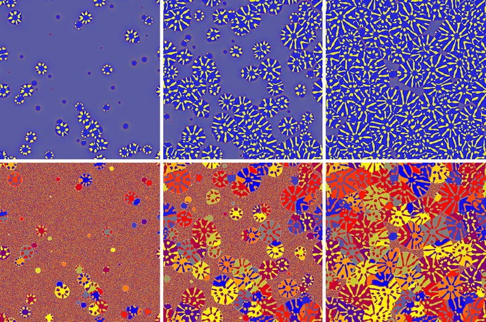 Phase-Field Modeling of Polycrystalline Solidification: From Needle ...