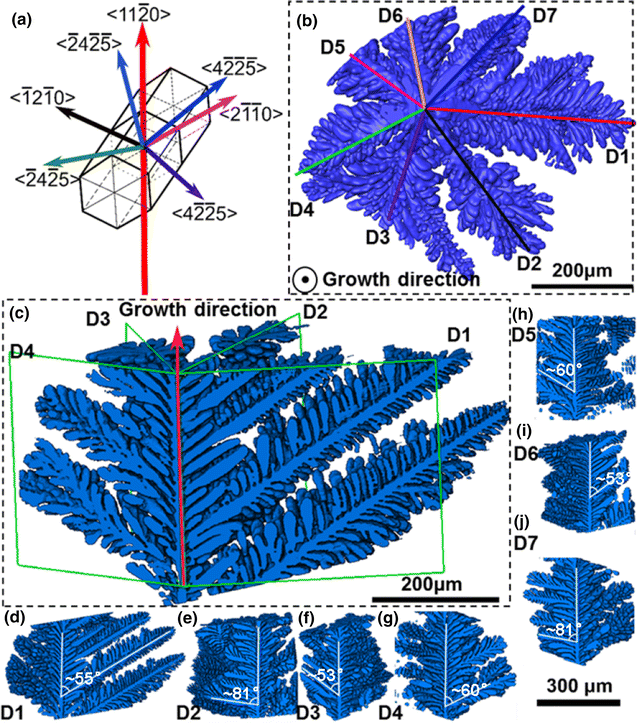 Anomalous α-Mg Dendrite Growth During Directional Solidification of a ...