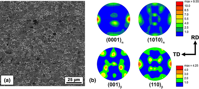 Early Stages of Microstructure and Texture Evolution during Beta ...