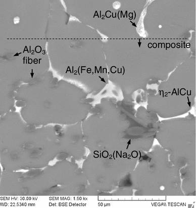 Microstructure and Strength of Al2O3 and Carbon Fiber Reinforced 2024 ...