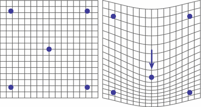 Advances in Geometric Morphometrics | SpringerLink