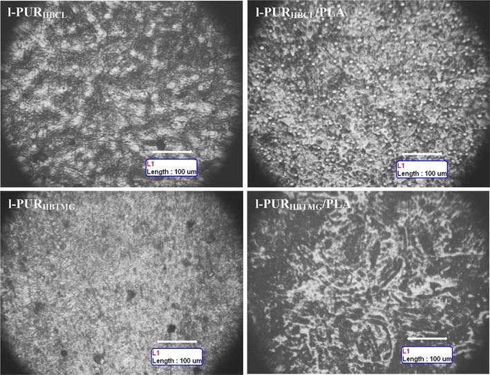The influence of chemical structure on thermal properties and surface ...