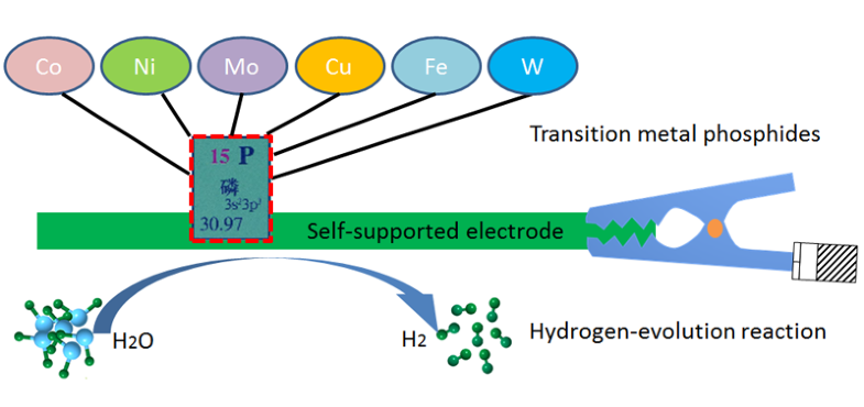 Self-supported transition metal phosphide based electrodes as high-efficient water splitting ...