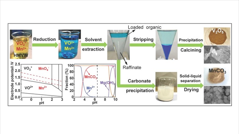Coextraction of vanadium and manganese from high-manganese containing ...