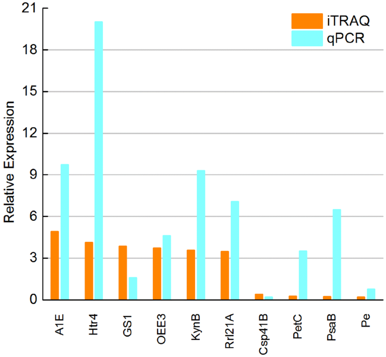 iTRAQ-based quantitative proteomic analysis of cotton ( Gossypium hirsutum L.) leaves reveals ...