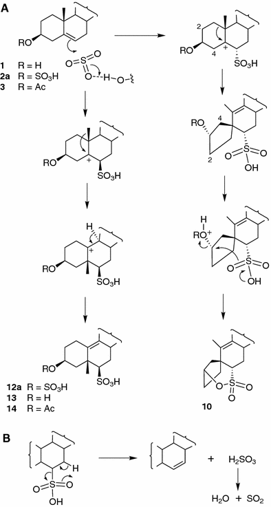 The Liebermann–Burchard Reaction: Sulfonation, Desaturation, and ...