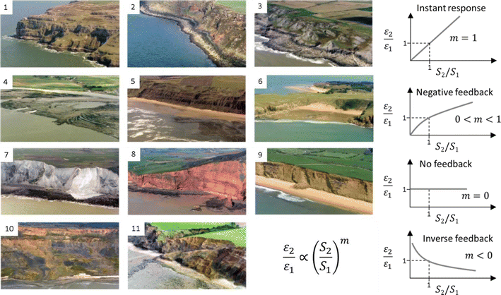 Feedback structure of cliff and shore platform morphodynamics ...