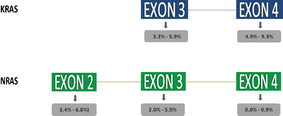 RAS Mutations Beyond KRAS Exon 2: A Review and Discussion of Clinical ...