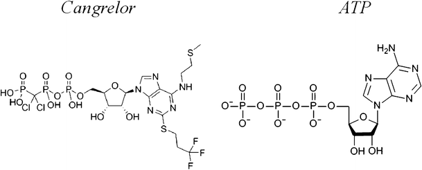 Cangrelor: Review of the Drug and the CHAMPION Programme (Including ...