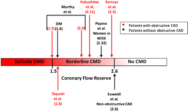 Coronary Microvascular Dysfunction, Microvascular Angina, and ...