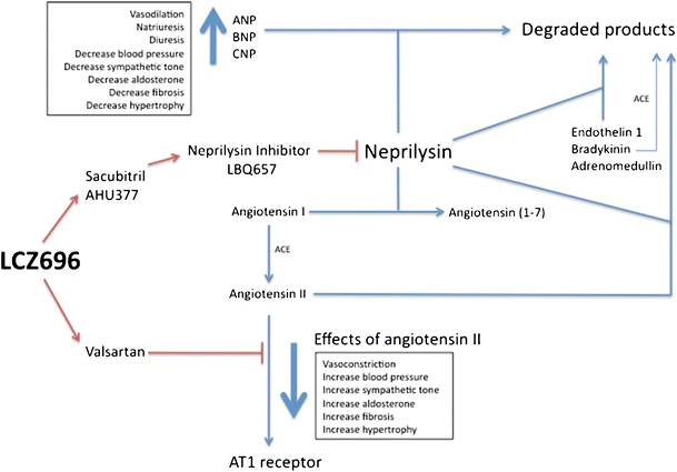 Neprilysin Inhibition as a PARADIGM Shift in Heart Failure Therapy ...