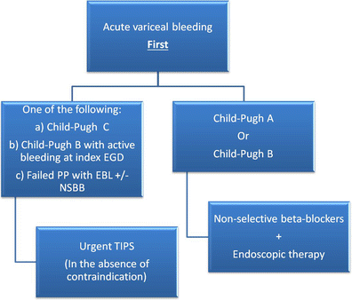 TIPS in Variceal Bleeding: New and Old Indications | SpringerLink