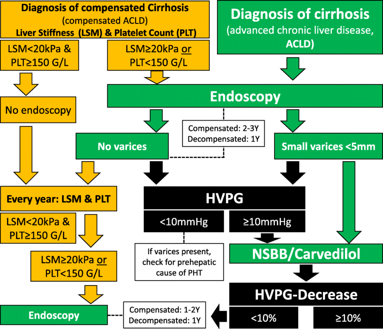 Small Esophageal Varices in Patients with Cirrhosis—Should We Treat ...